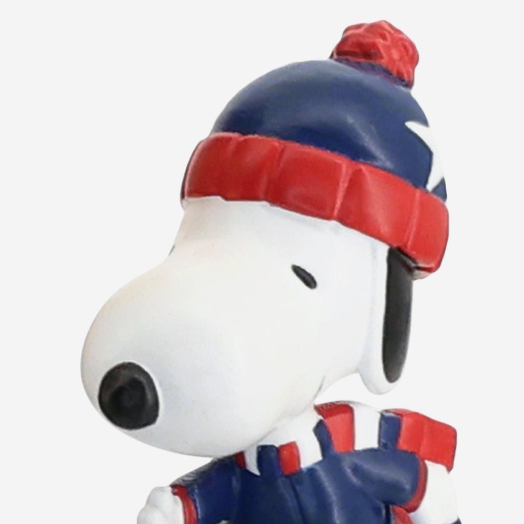 Team USA Charlie Brown & Snoopy Peanuts Curling Mini Bobblehead Scene FOCO