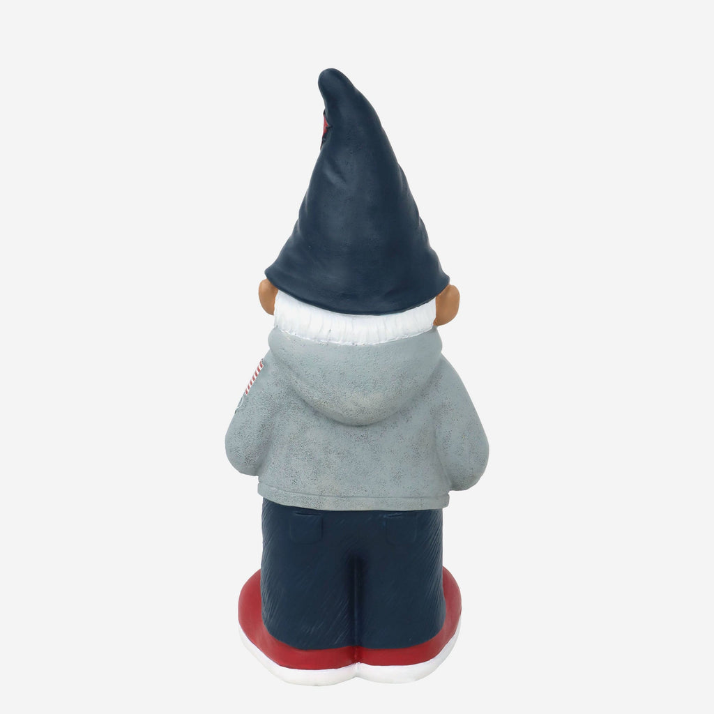 Team USA Team Gnome FOCO